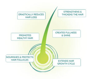 Nufolix (Official Website) – The #1 Rated Hair Growth Supplement