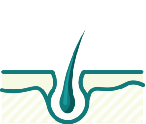 Nufolix (Official Website) – The #1 Rated Hair Growth Supplement