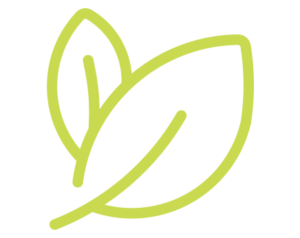 Nufolix (Official Website) – The #1 Rated Hair Growth Supplement