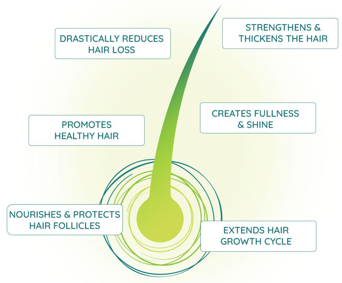Nufolix (Official Website) – The #1 Rated Hair Growth Supplement