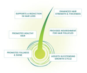 Nufolix (Official Website) – The #1 Rated Hair Growth Supplement